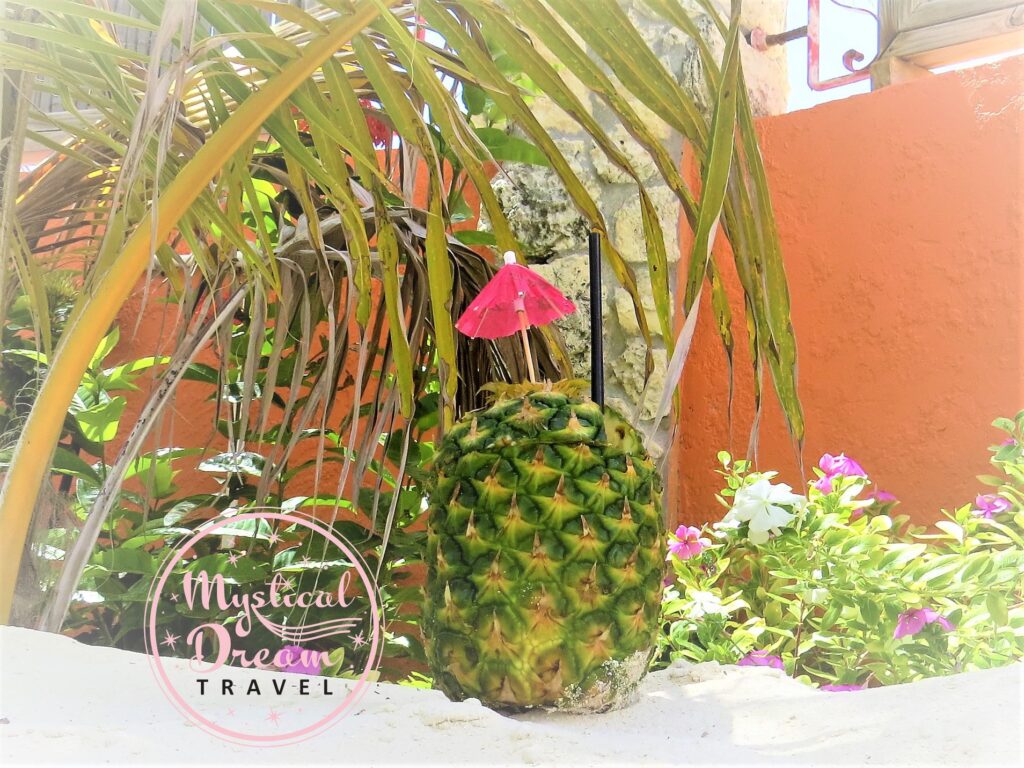 5 Must-Dos At Perfect Day At Coco Cay ~ Jen - Mystical Dream Travel ...